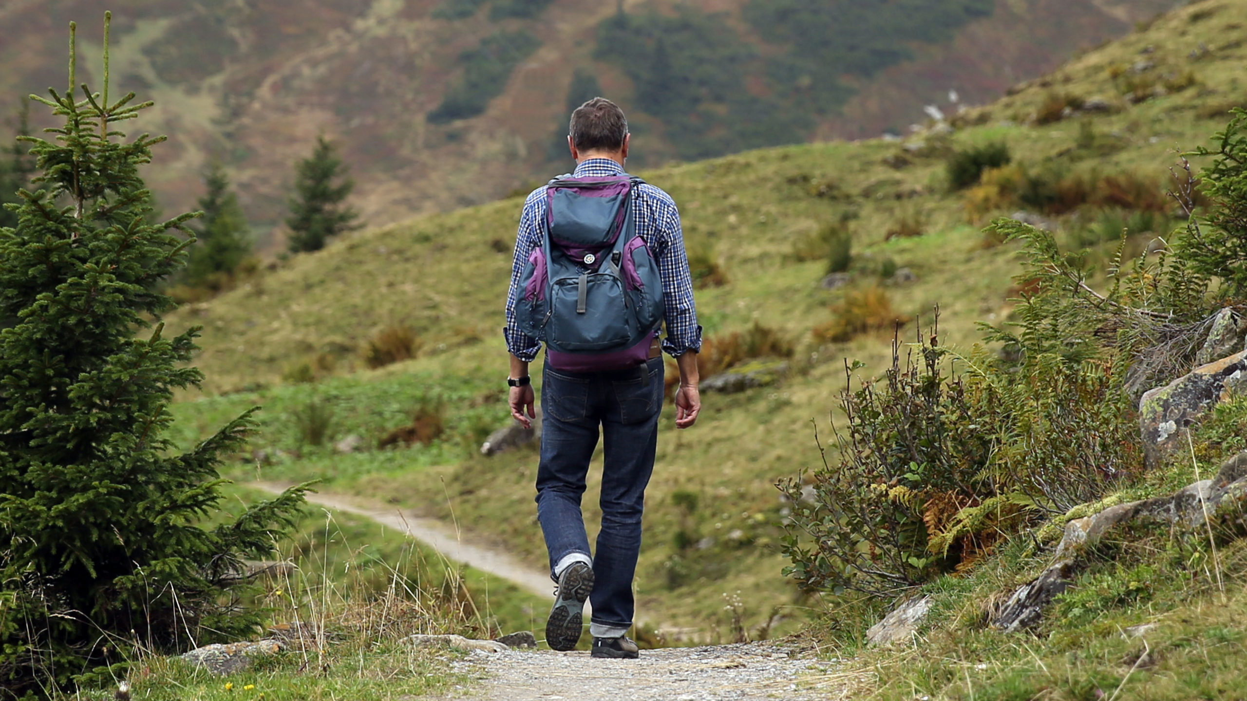 7 Ways How the Responsible Travel Movement Will Reshape the 2020s ...